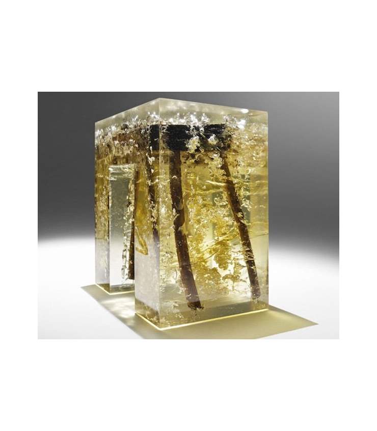 Résine epoxy transparente 2431 Stardust
