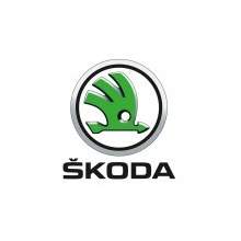Code couleur voiture Skoda - Peinture voiture Skoda